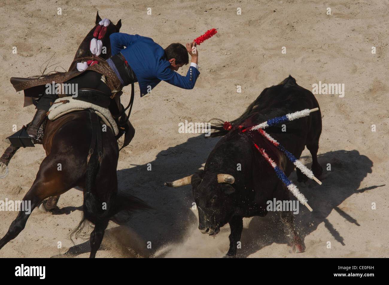 Matador bull 2011 hi-res stock photography and images - Alamy