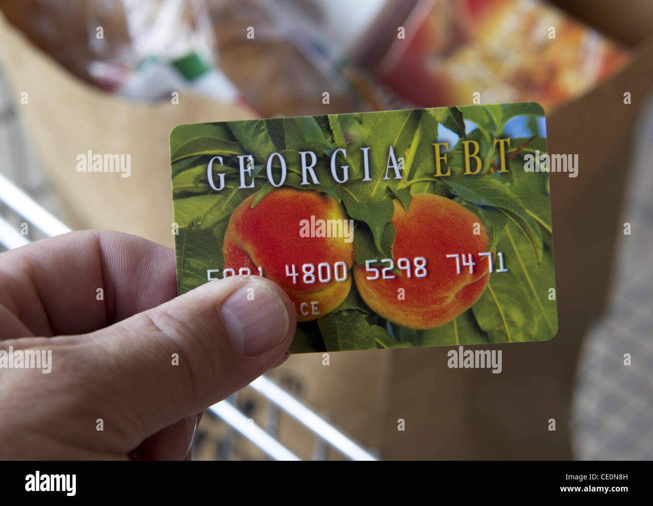 Food Stamp Card Number Ga How To Apply For A Food Stamp Card Food Stamp Card Number Ga How To Apply For A Food Stamp Card
