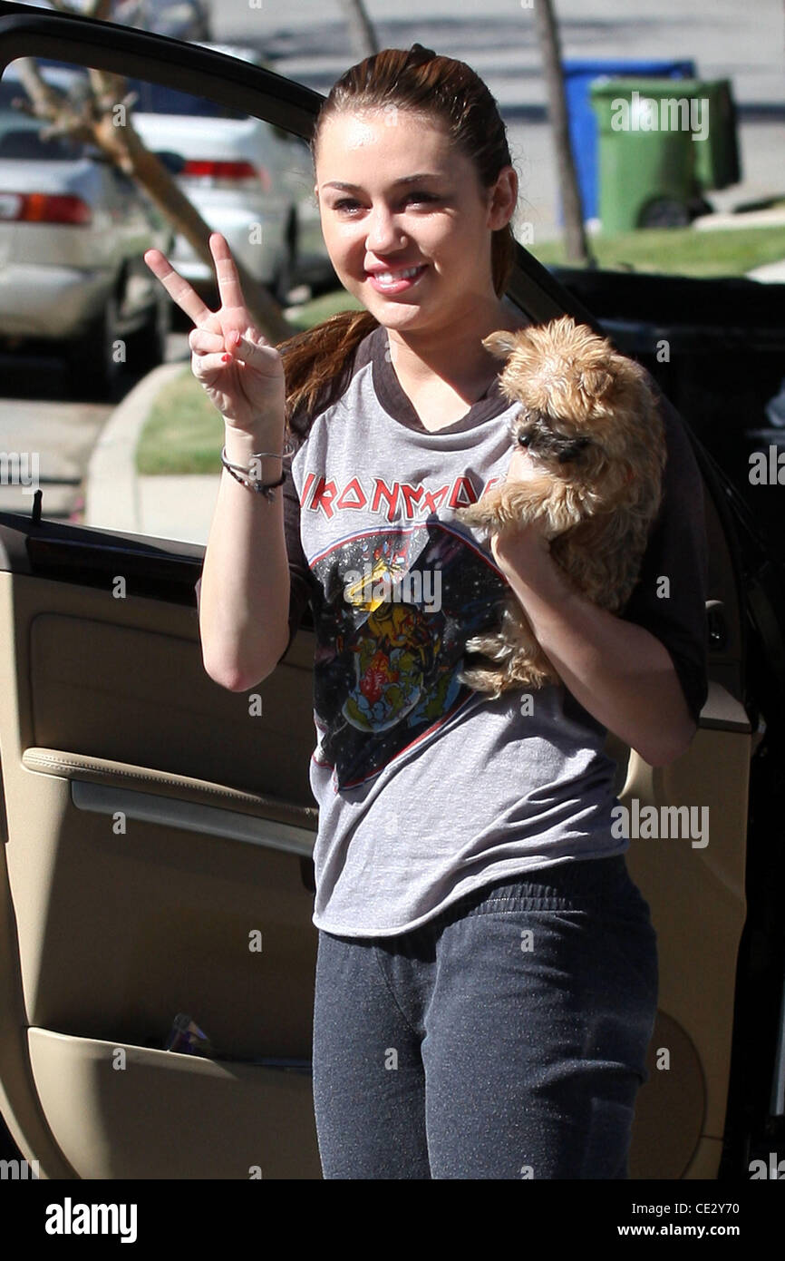 Miley cyrus and her dog hi-res stock photography and images - Alamy