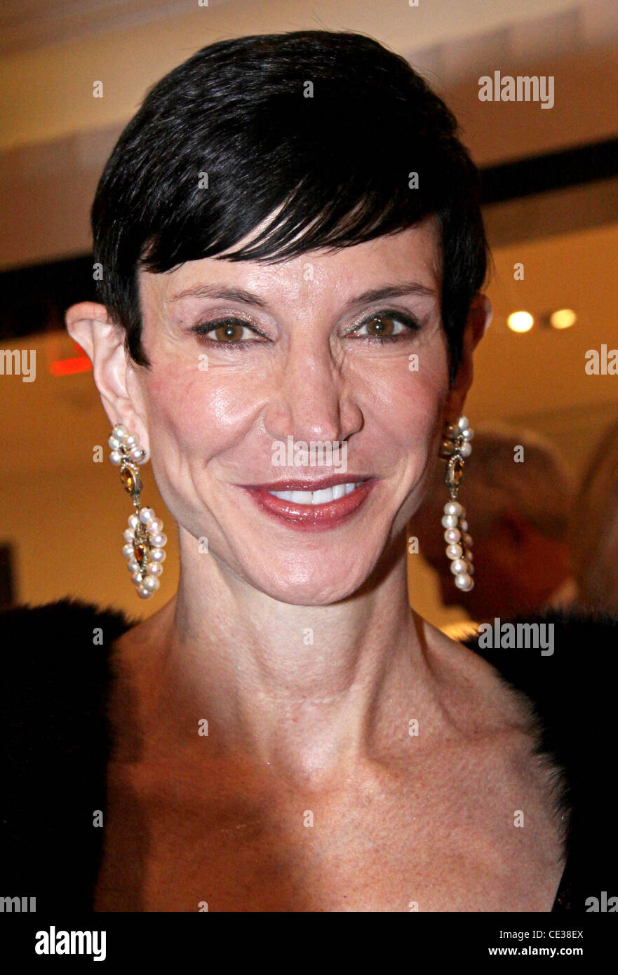 Amy fine collins new york city hi-res stock photography and images - Alamy