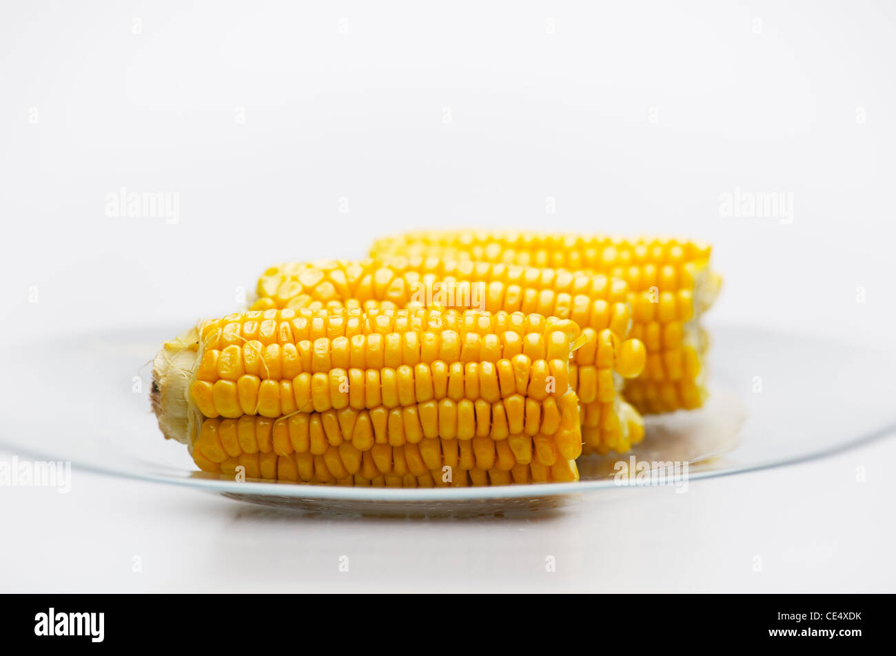 Still life of Corn Cobs on a glass plate. Isolated on White background ...