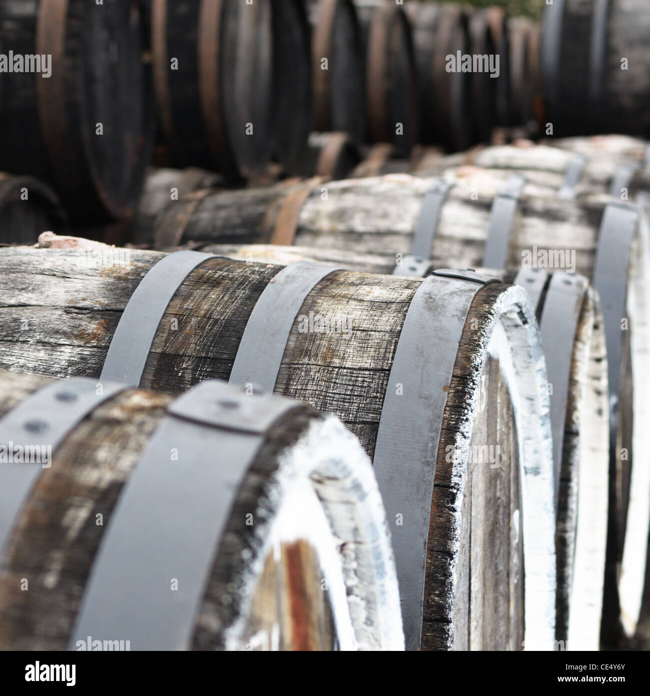 Oak port wine barrels in a row Stock Photo - Alamy