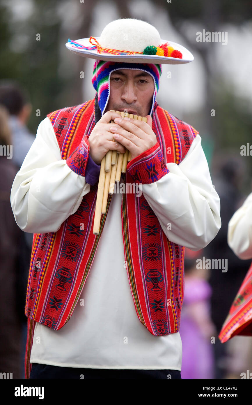 latin american carnival in rome music color fun man playing musical ...