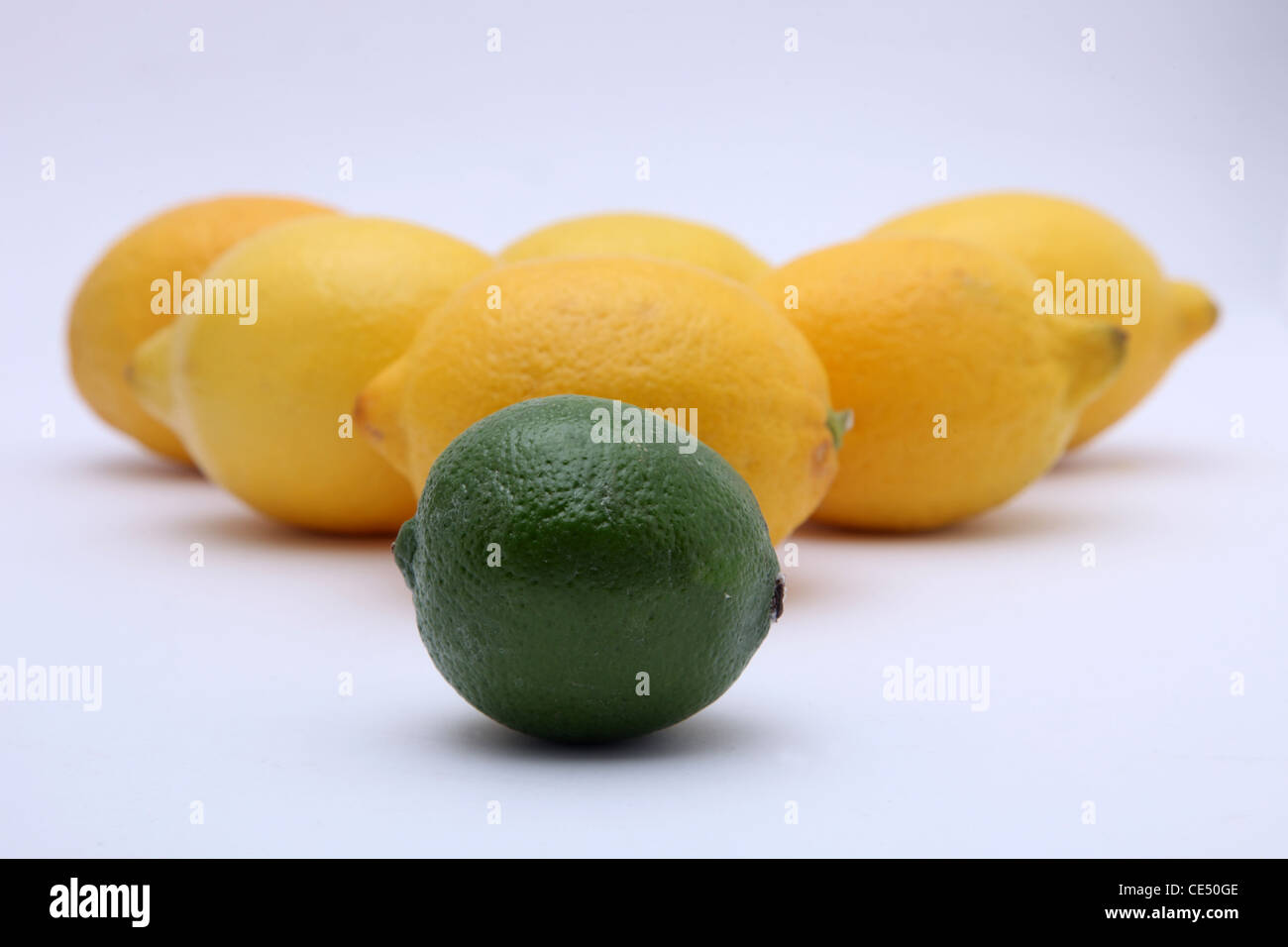 Citruses: lime and lemon Stock Photo - Alamy