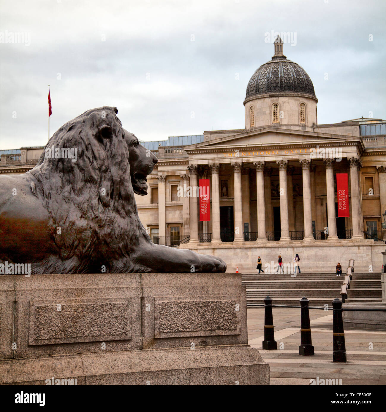 Trafalgar Square Lion - London UK Stock Photo - Alamy