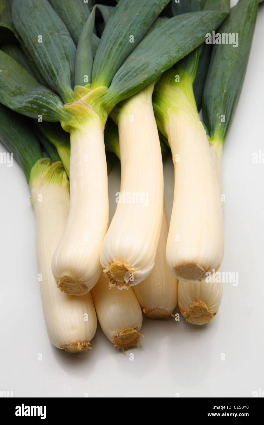 Japanese green onion closeup shoot, harvested in Japan Stock Photo - Alamy