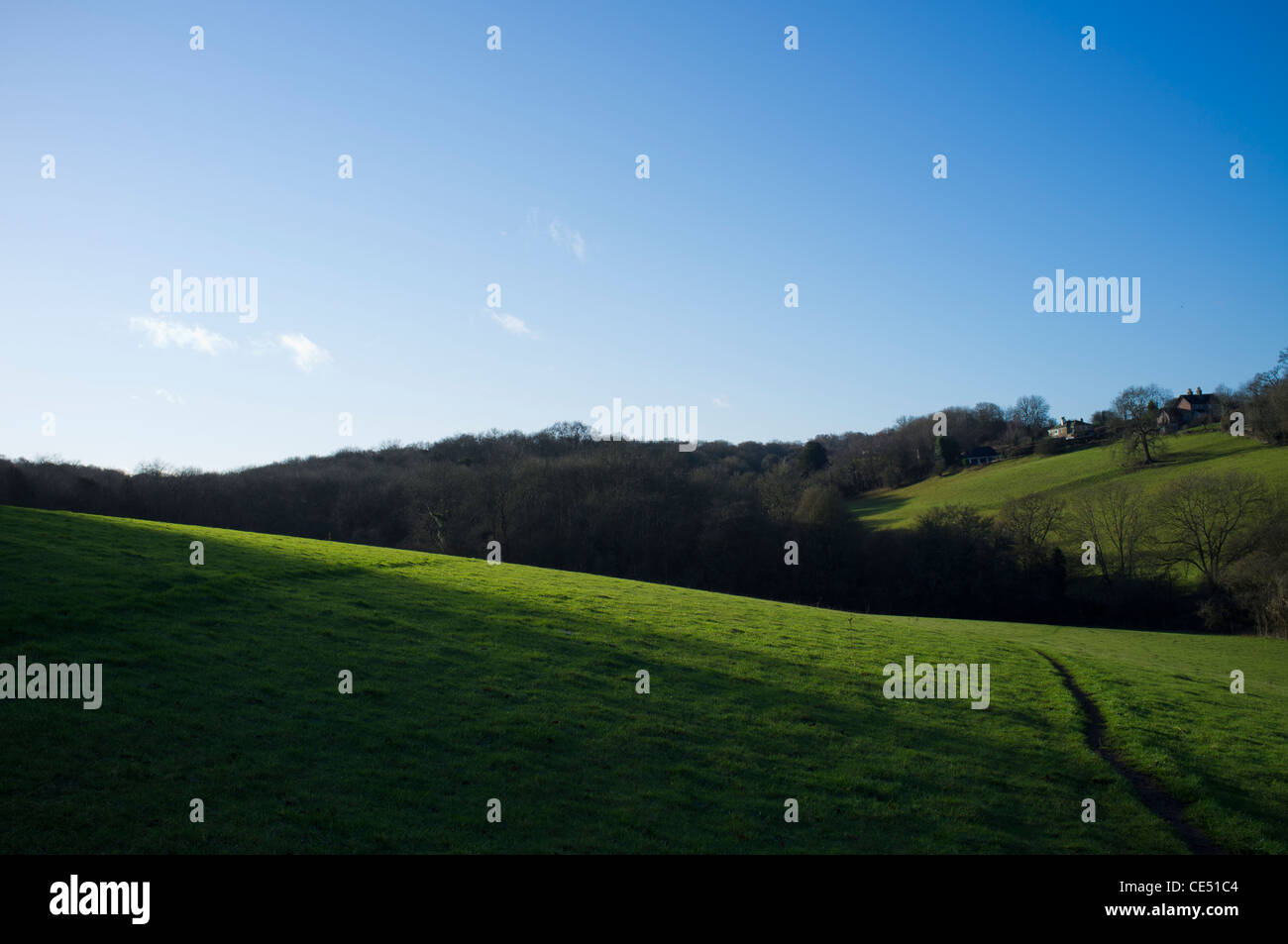 Afternoon sunlight falls on fields and woodland on Ranmore common ...