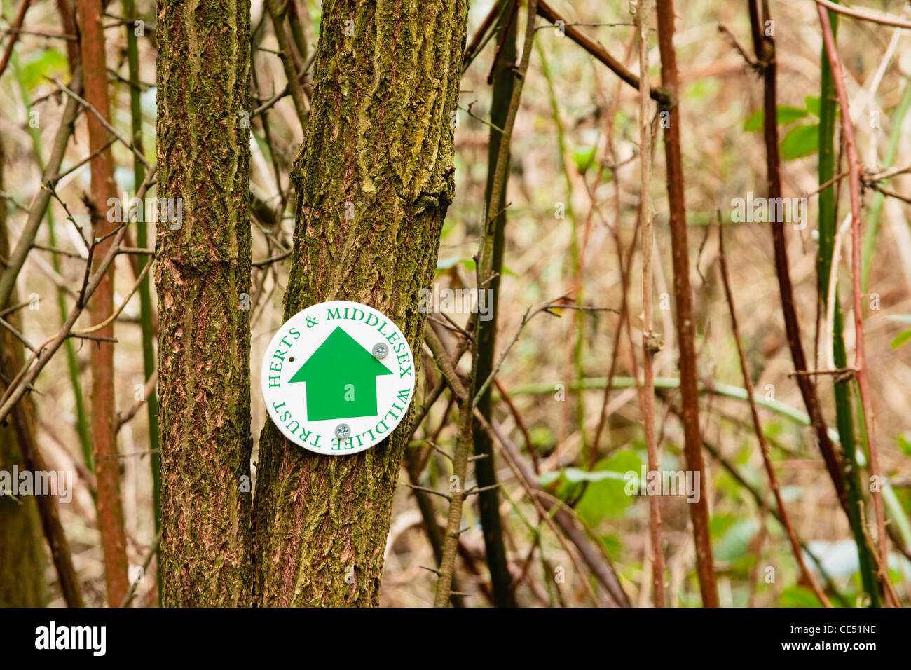 A wayfinding arrow for the Herts & Middlesex Widlife Trust nature trail ...