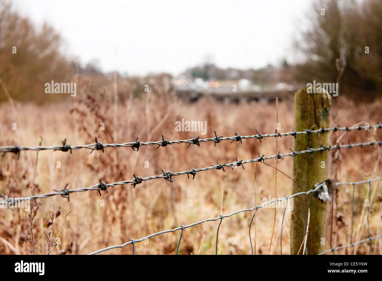 Barbed wire fencing field hi-res stock photography and images - Alamy