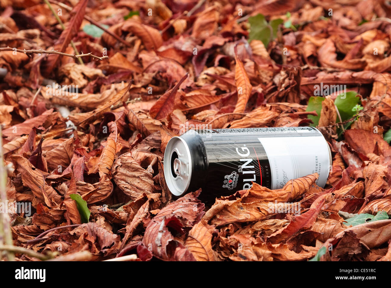 A discarded beer can lying outside as litter Stock Photo - Alamy