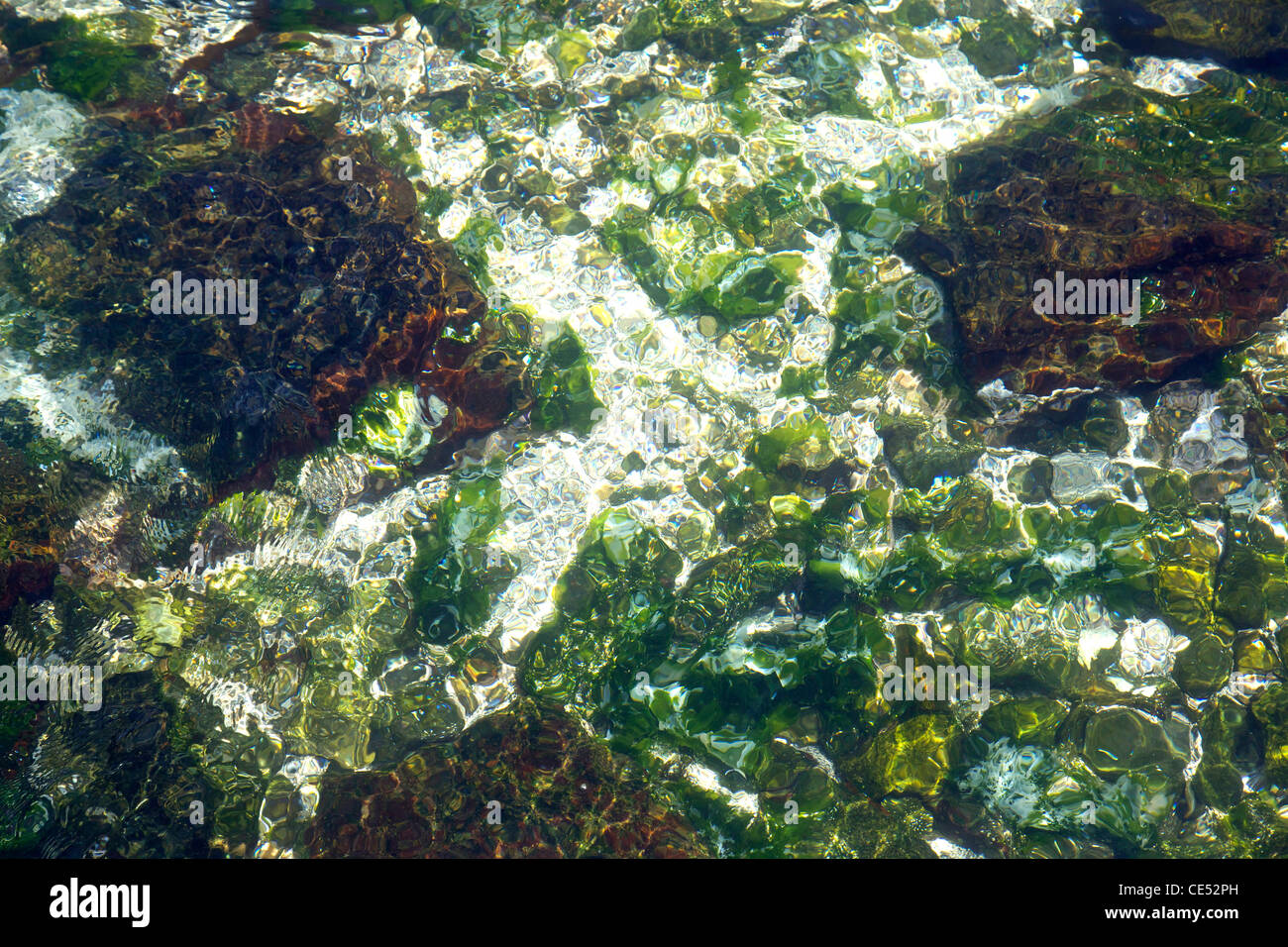 Unpolluted seawater hi-res stock photography and images - Alamy