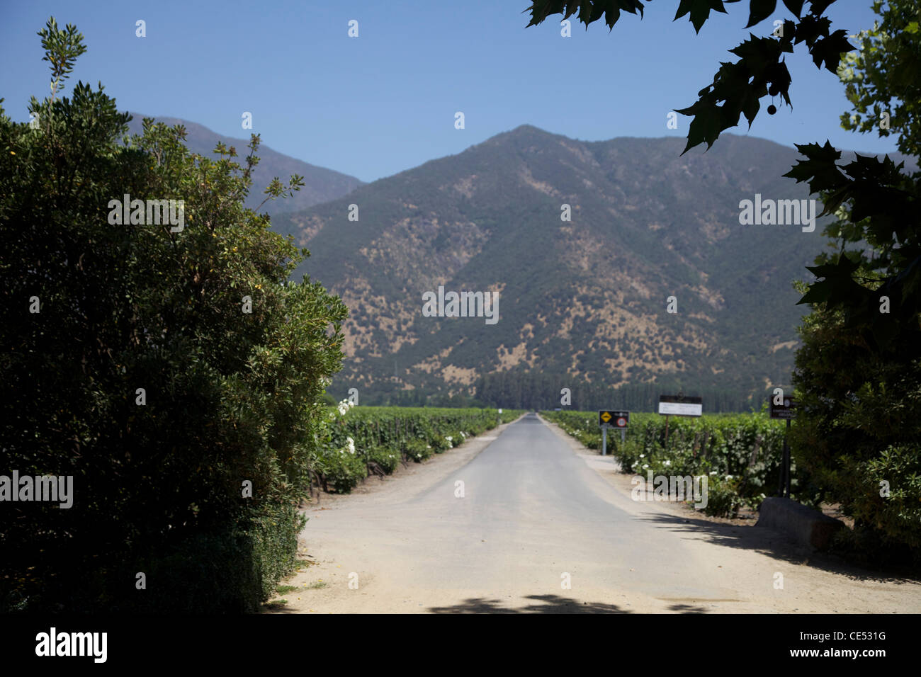 Road vineyard chile hi-res stock photography and images - Alamy