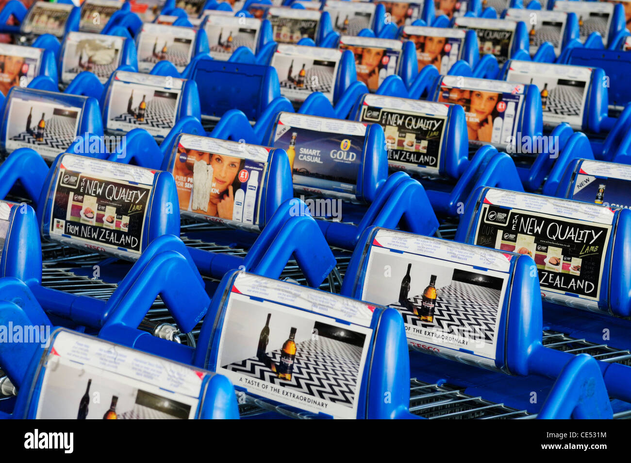 Tesco Supermarket Trolleys, Cambridge, England, UK Stock Photo - Alamy