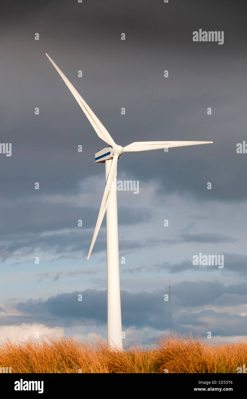 Renewable energy wind turbines Stock Photo - Alamy