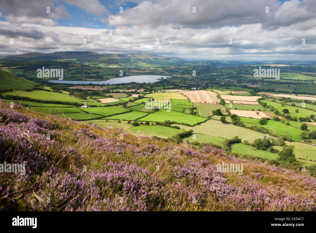 Rolling countryside of the Brecon Beacons from the heather covered ...