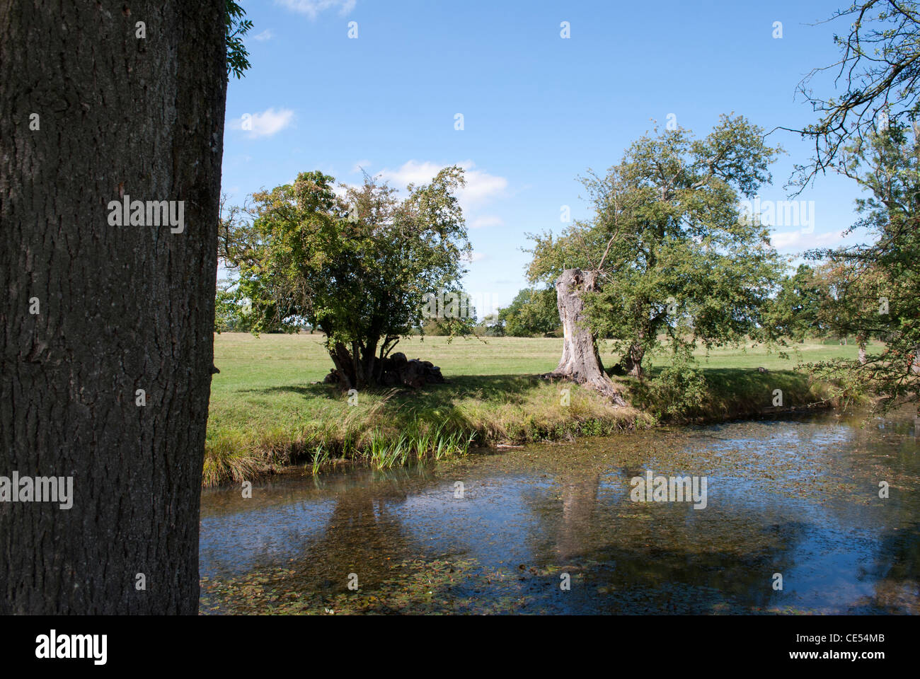 Tree lined river with tree trunk in foreground at Lyveden New Bield ...