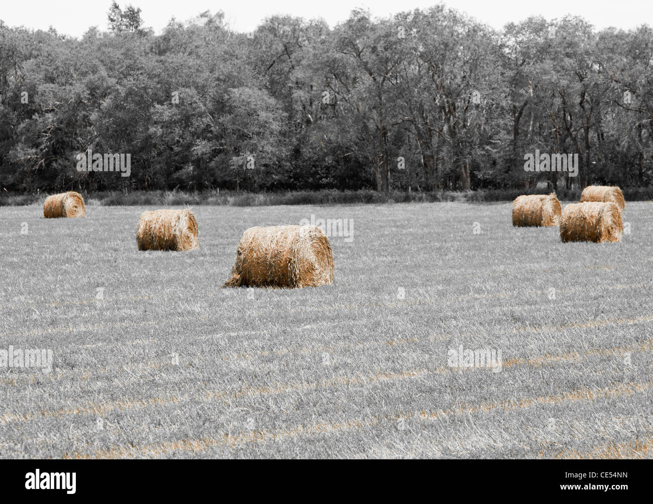 Bails hi-res stock photography and images - Alamy
