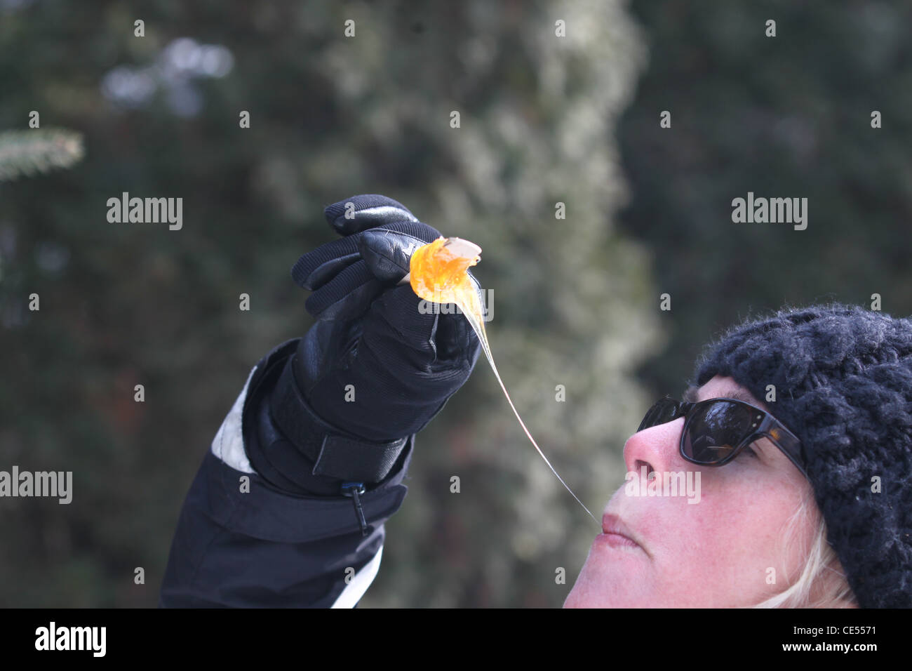 Maple taffy pull hi-res stock photography and images - Alamy