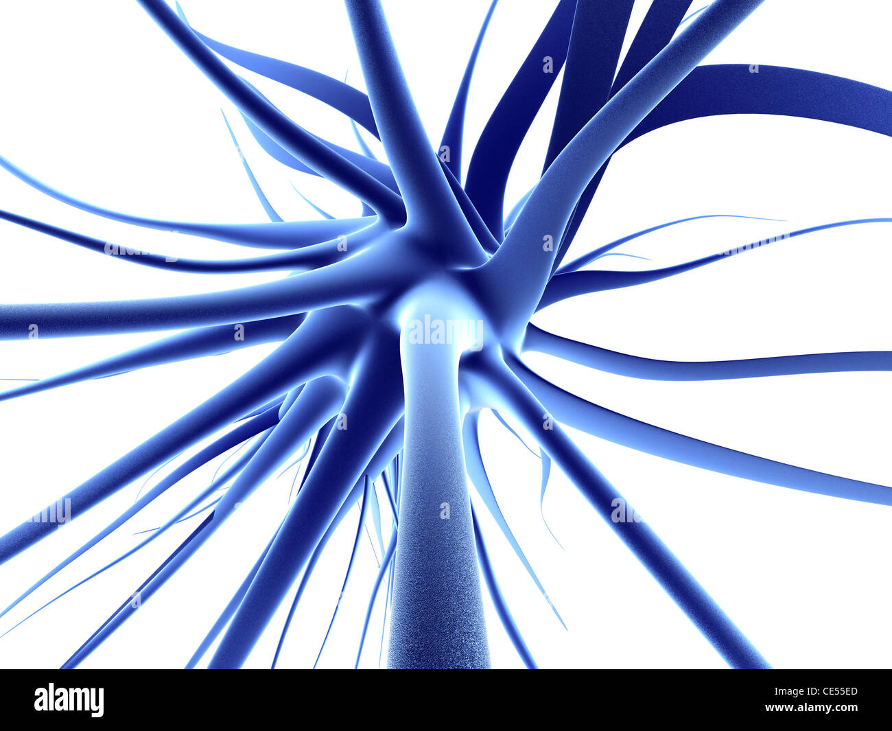 A neuronal cell cluster Stock Photo - Alamy