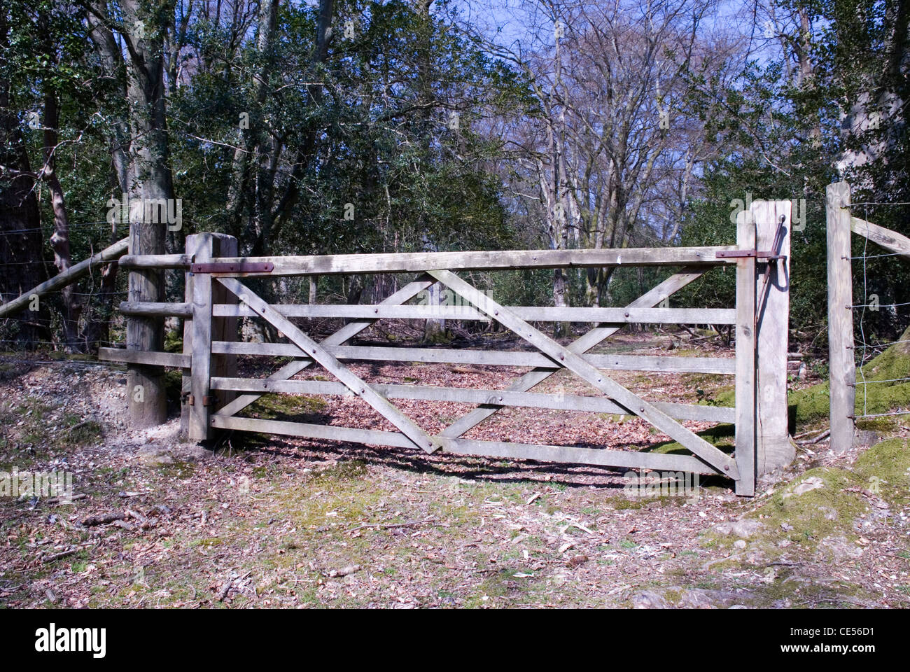 Wooden five-bar gate in the New Forest, Hampshire, UK Stock Photo - Alamy