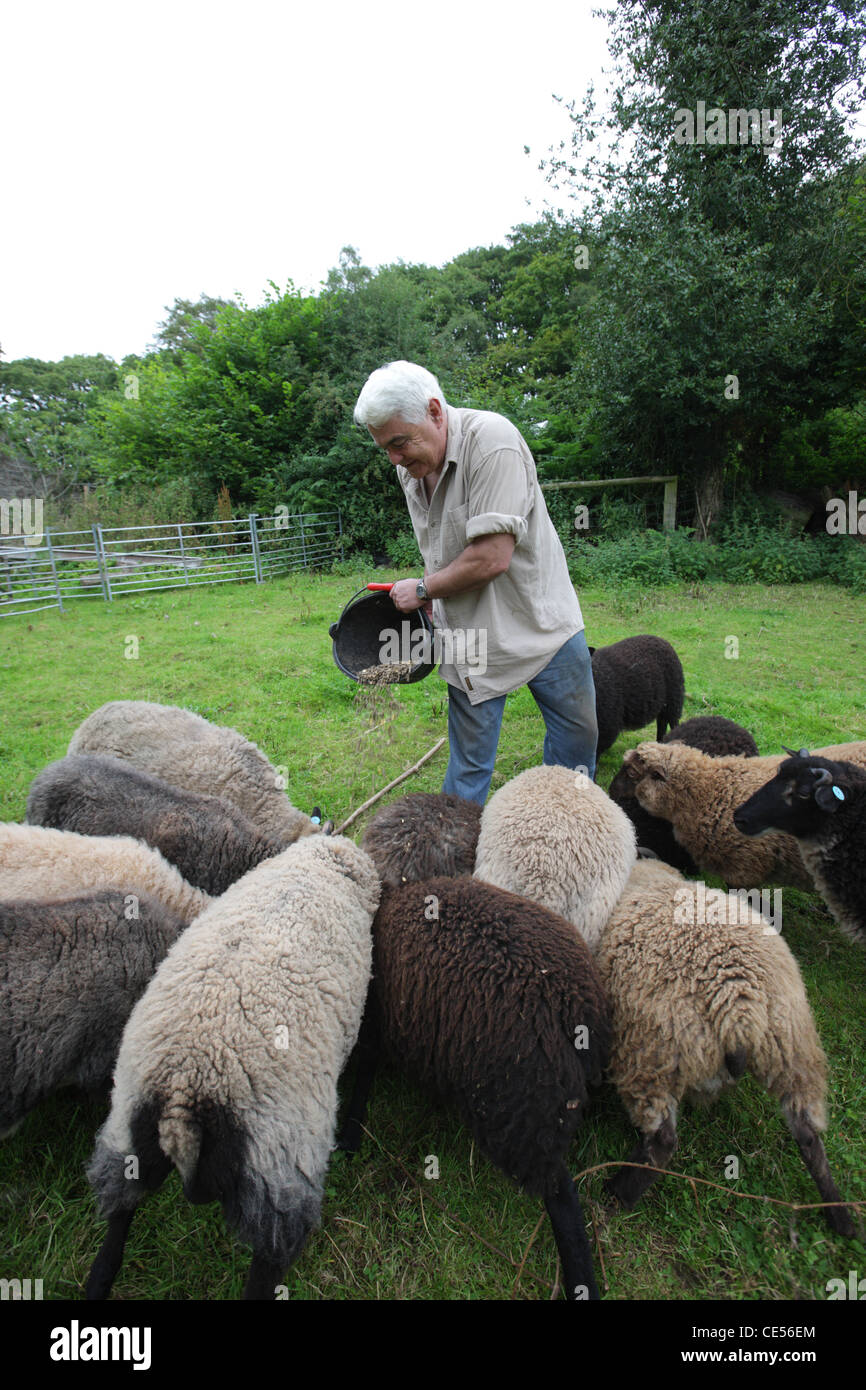 Documentary images covering small sheep keepers in the Forest of Dean ...