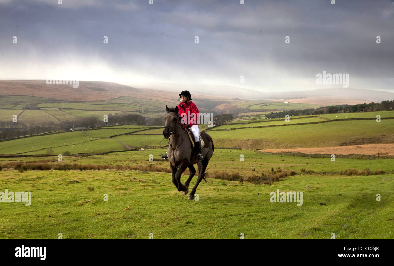 Horse Rider Galloping High Resolution Stock Photography and Images - Alamy
