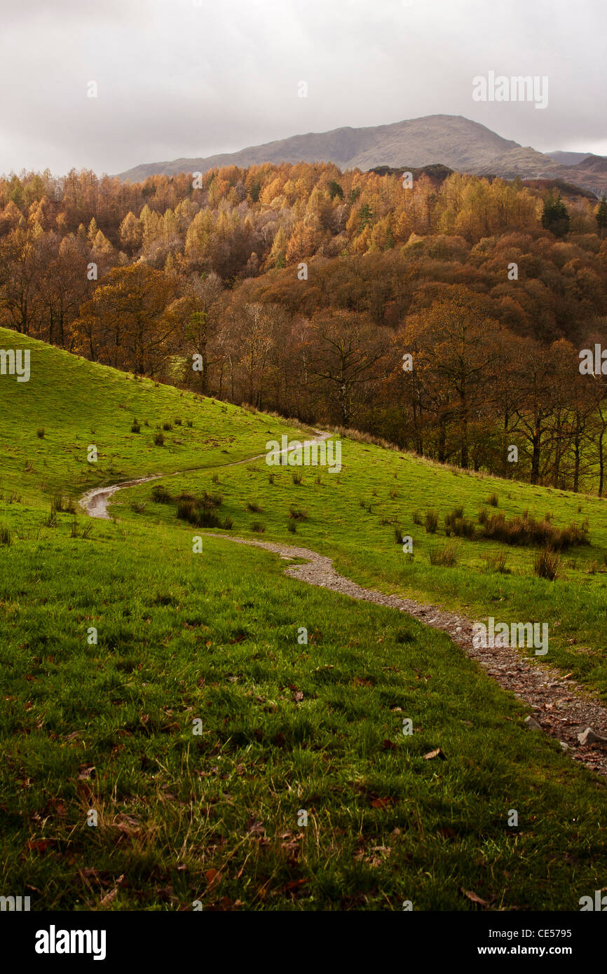 English hike hi-res stock photography and images - Alamy