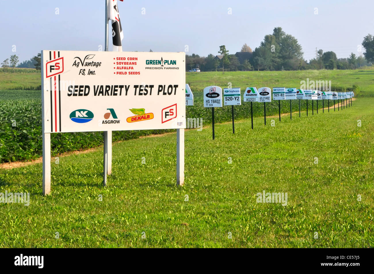 Iowa seed variety test farm field for seed corn soybean alfalfa and ...