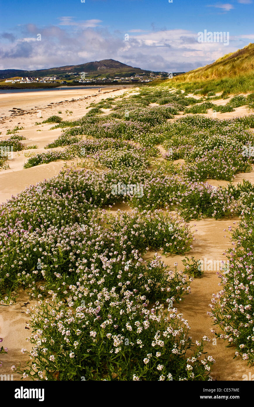 Tramore beach hi-res stock photography and images - Alamy