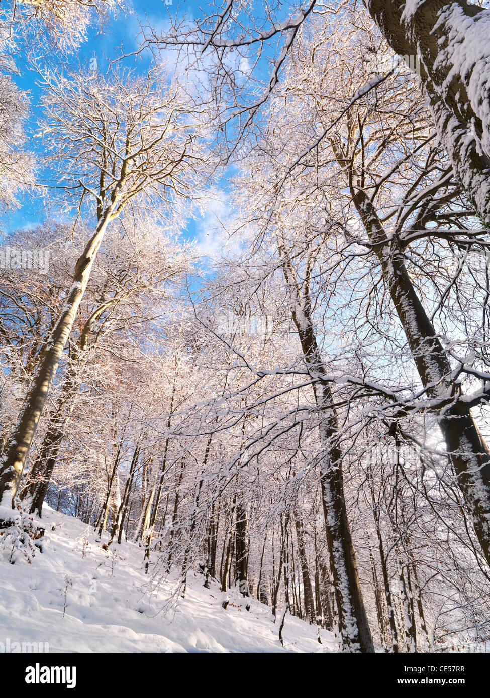 Minnowburn, Belfast, Northern Ireland Stock Photo - Alamy