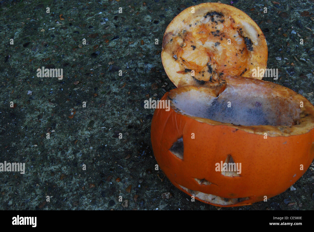 Rotting Halloween Pumpkin Stock Photo - Alamy