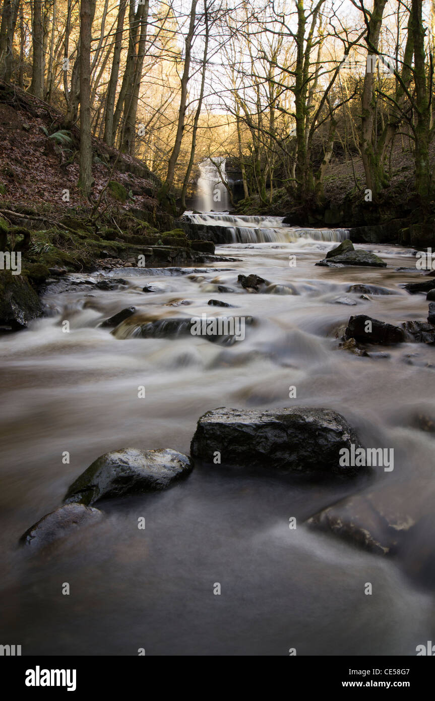 Fitzhugh library newbiggin hi-res stock photography and images - Alamy