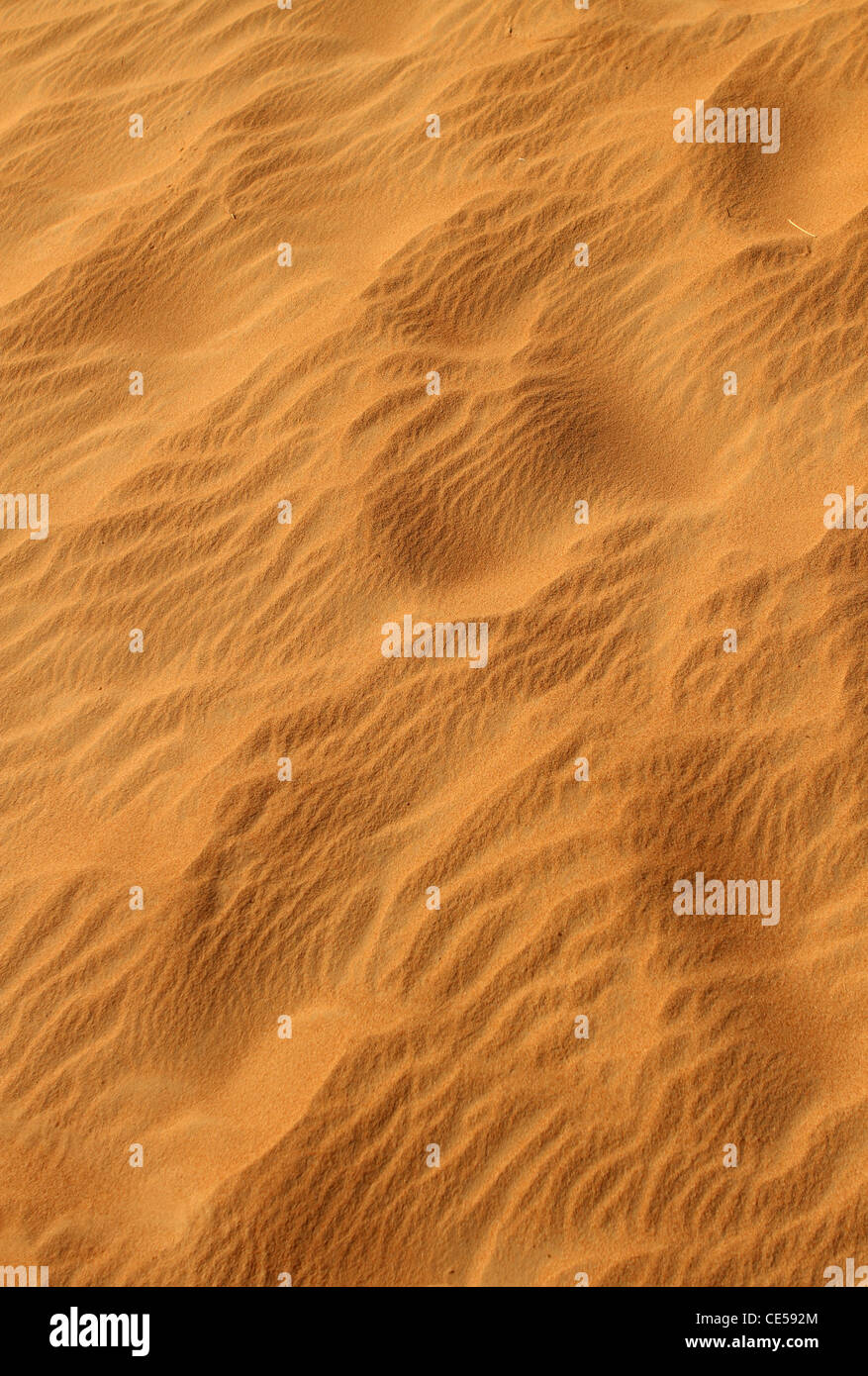 Desert desertification hi-res stock photography and images - Alamy
