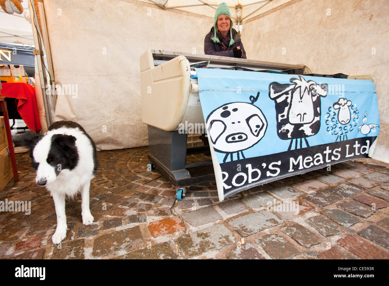 A Border Collie dog at a butchers stall on Keswick market, Cumbria, UK ...