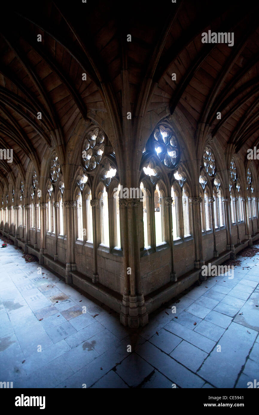 Cloister with vaulted wooden ceiling of the Lincoln Cathedral or St ...