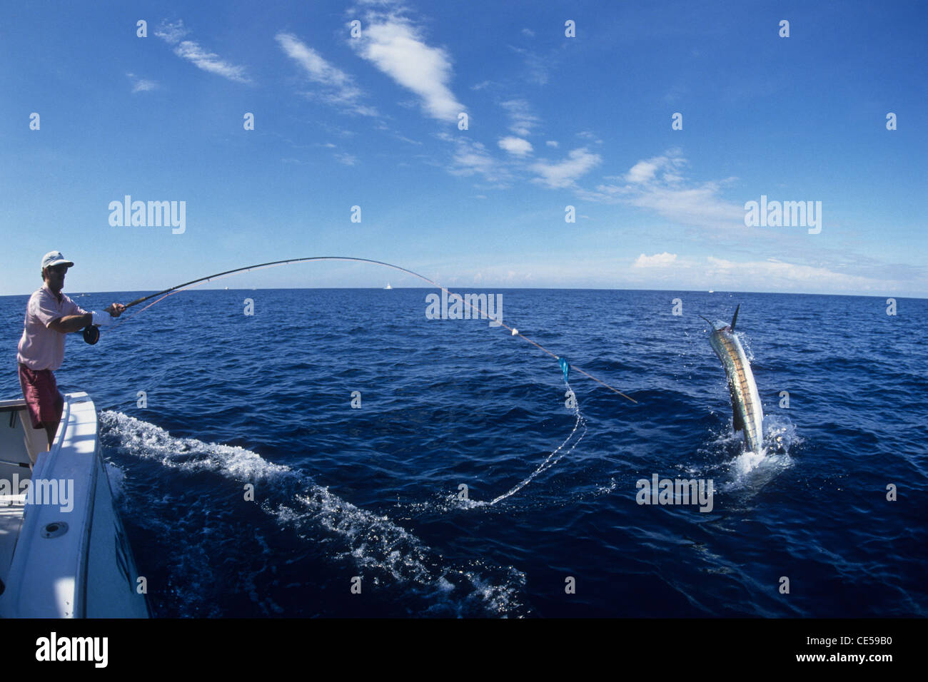 Deep sea fisherman catching a swordfish Stock Photo - Alamy