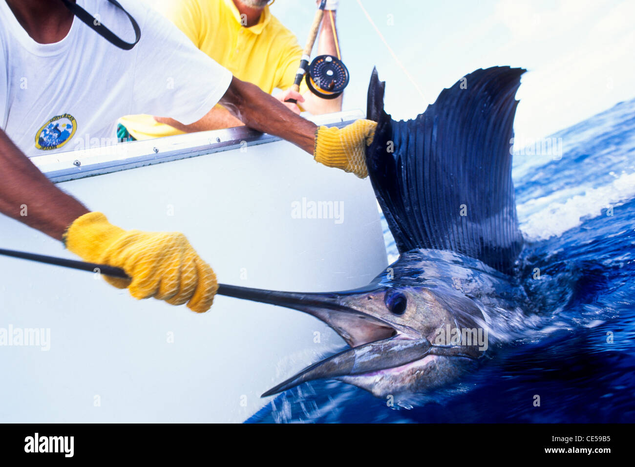 Deep sea fisherman catching a swordfish Stock Photo - Alamy