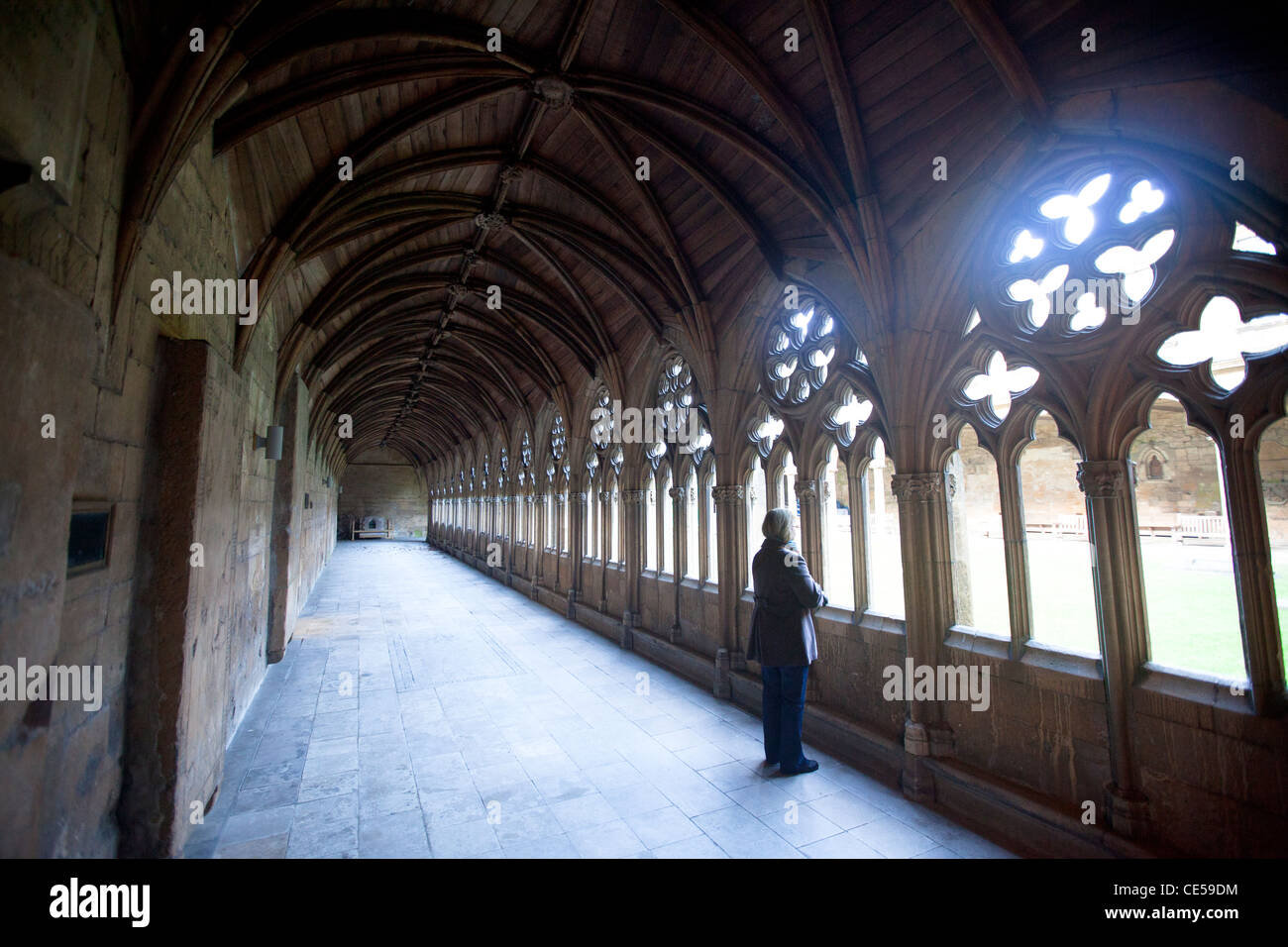 Cloister with vaulted wooden ceiling of the Lincoln Cathedral or St ...