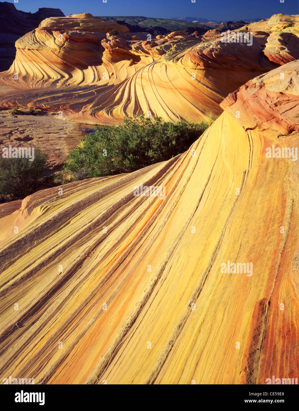 The Wave section of Coyote Buttes North in Vermillion Cliffs Wilderness ...