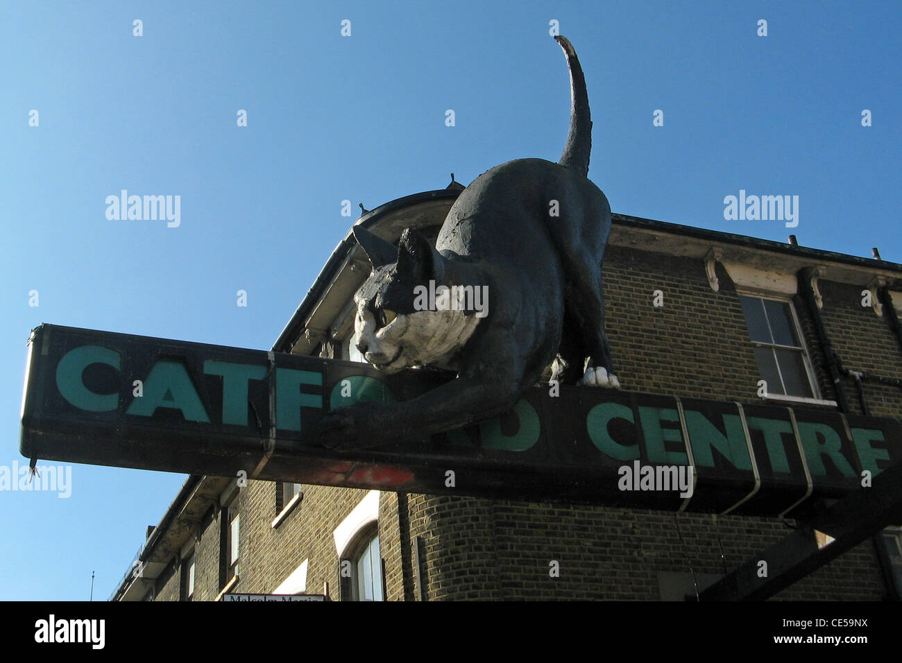 Catford cat hi-res stock photography and images - Alamy