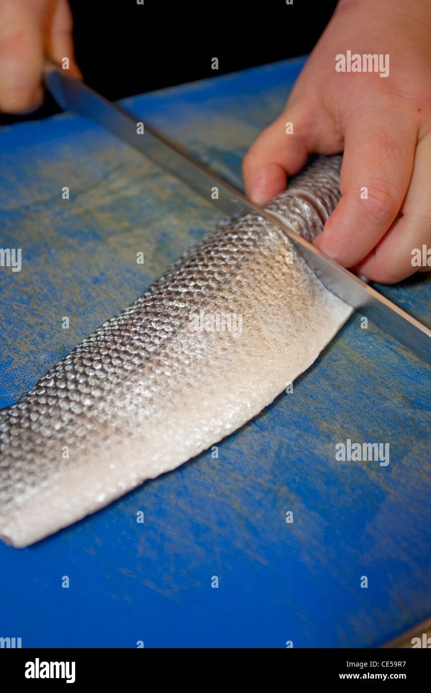 preparing seabass on blue chopping board SeaBass Stock Photo - Alamy