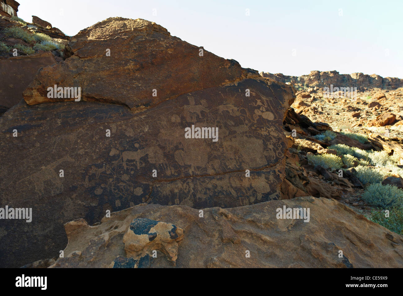 Ancient rock engravings of Twyfelfontein, Namibia Stock Photo - Alamy