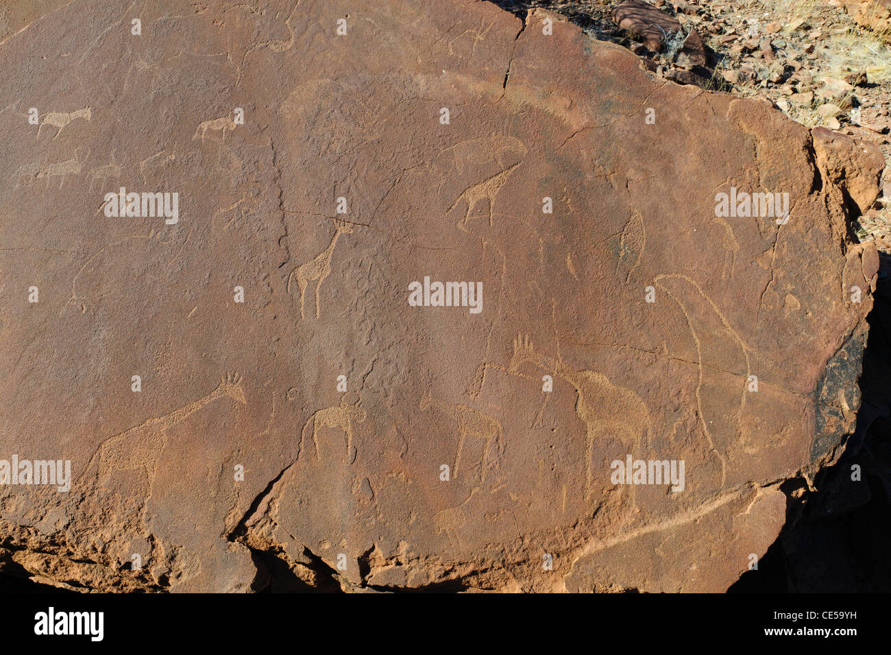 Ancient rock engravings of Twyfelfontein, Namibia Stock Photo - Alamy