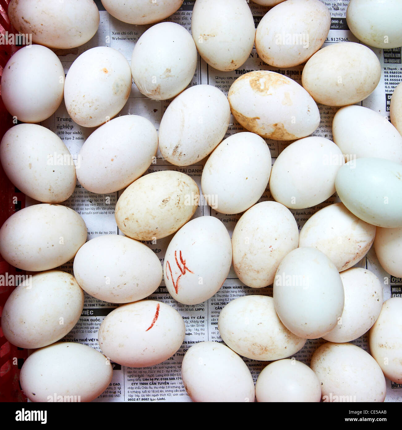 Collection eggs photograph hi-res stock photography and images - Alamy