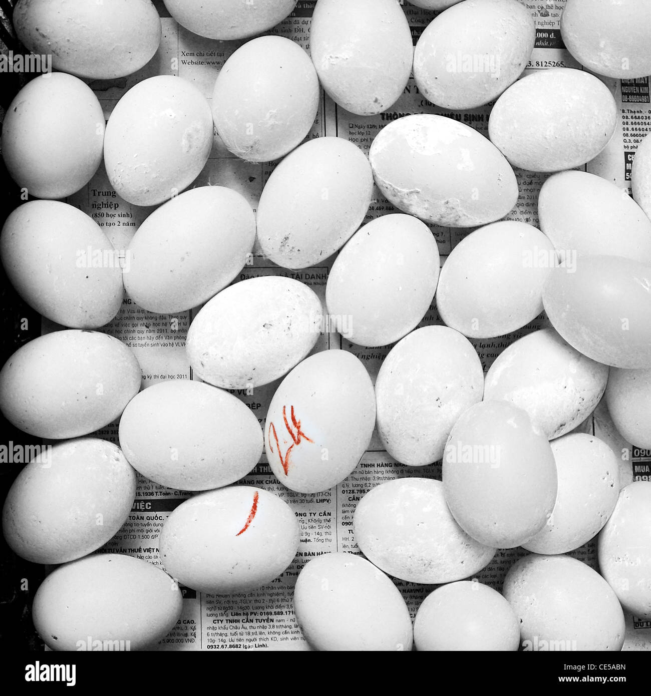 Duck eggs in incubator hi-res stock photography and images - Alamy