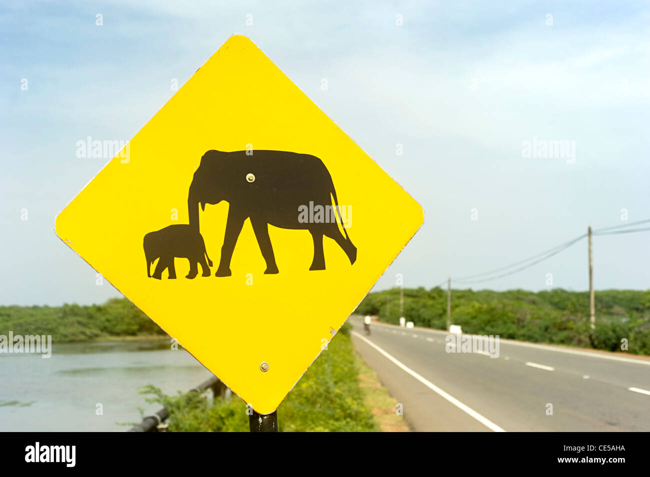 Beware elephants hi-res stock photography and images - Alamy