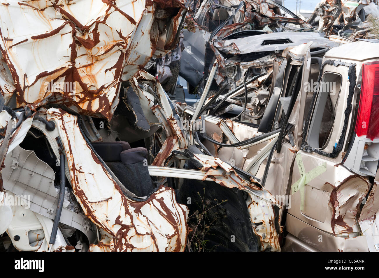 Life in Tokyo, Japan Stock Photo - Alamy