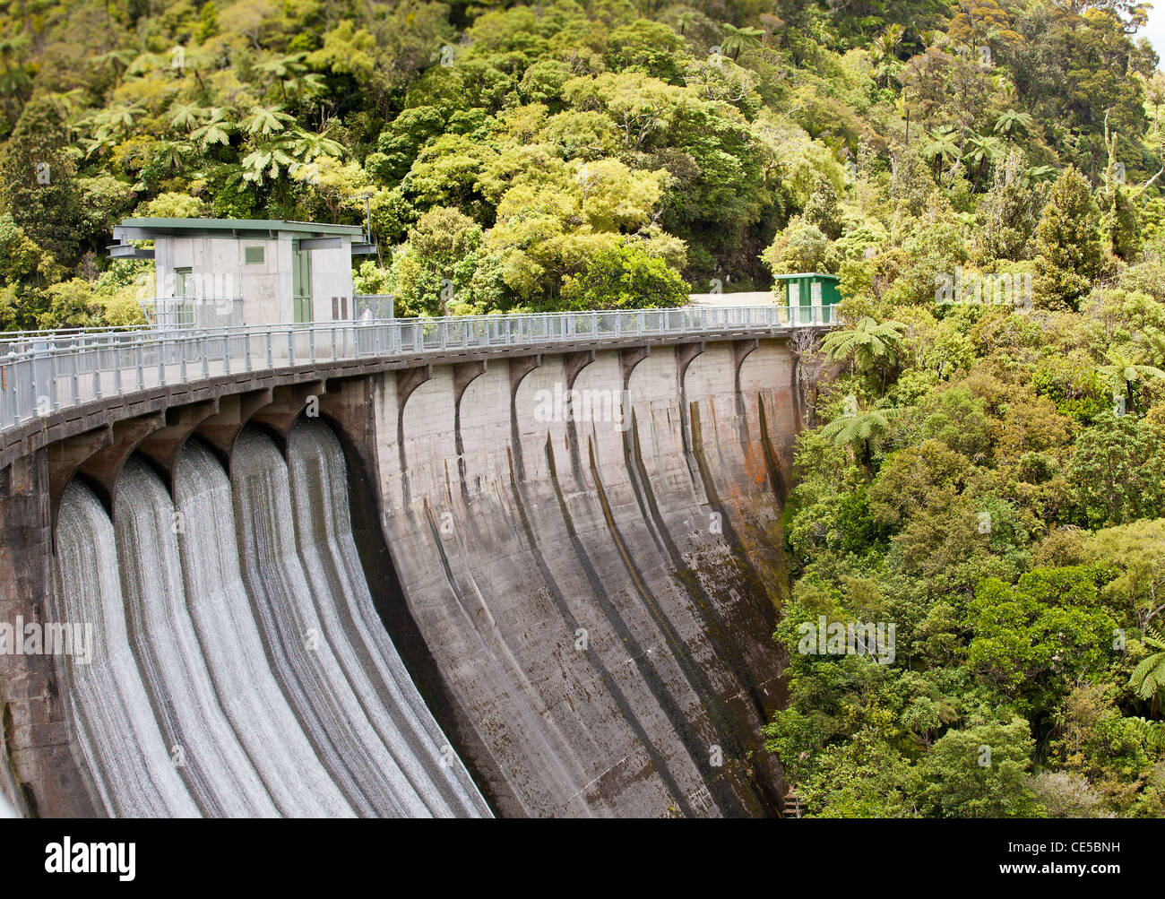 Upper Nihotupu Reservoir In The Waitakere Ranges Auckland New
