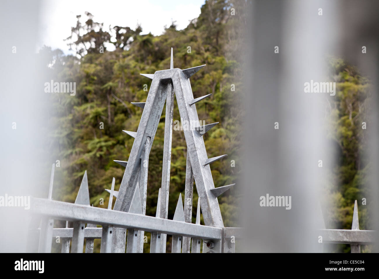 Upper Nihotupu Reservoir In The Waitakere Ranges Auckland New