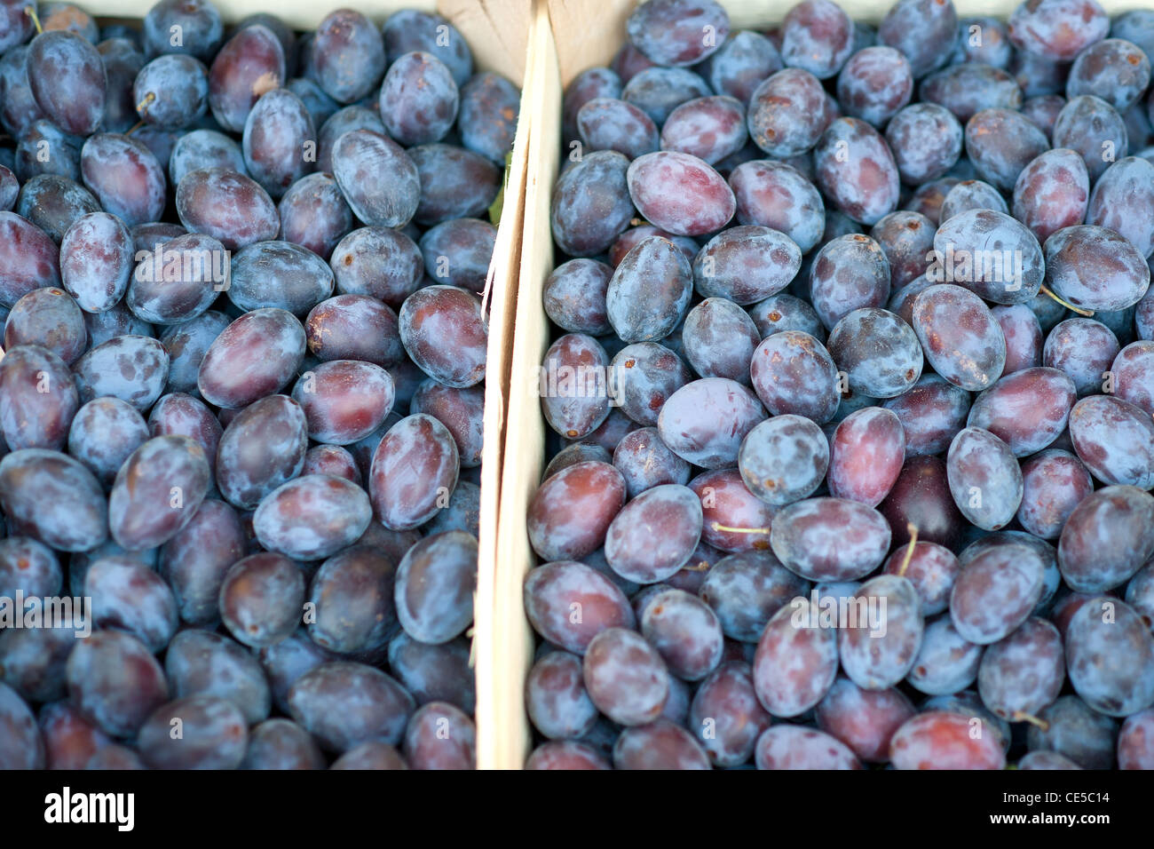 A pile of plums at a market Stock Photo - Alamy